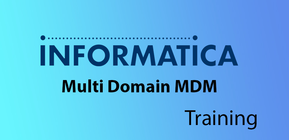 Informatica Multi Domain MDM Training | Skill-Based Training