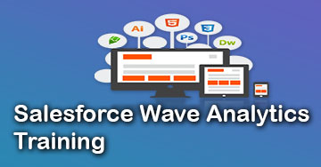 Salesforce Wave Analytics Training | In Demand Online Courses
