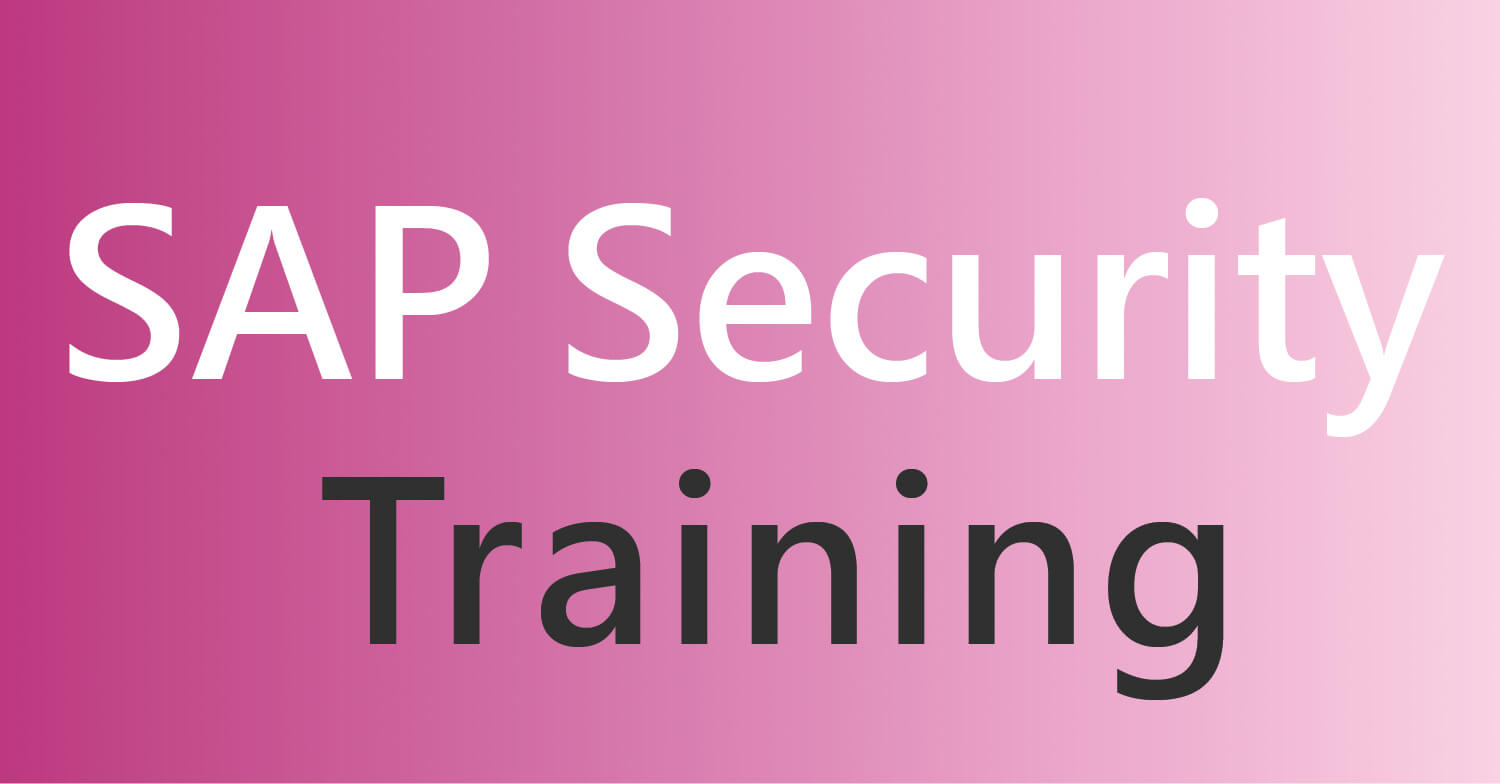 SAP Security Training in Hyderabad | SAP Security Course Online